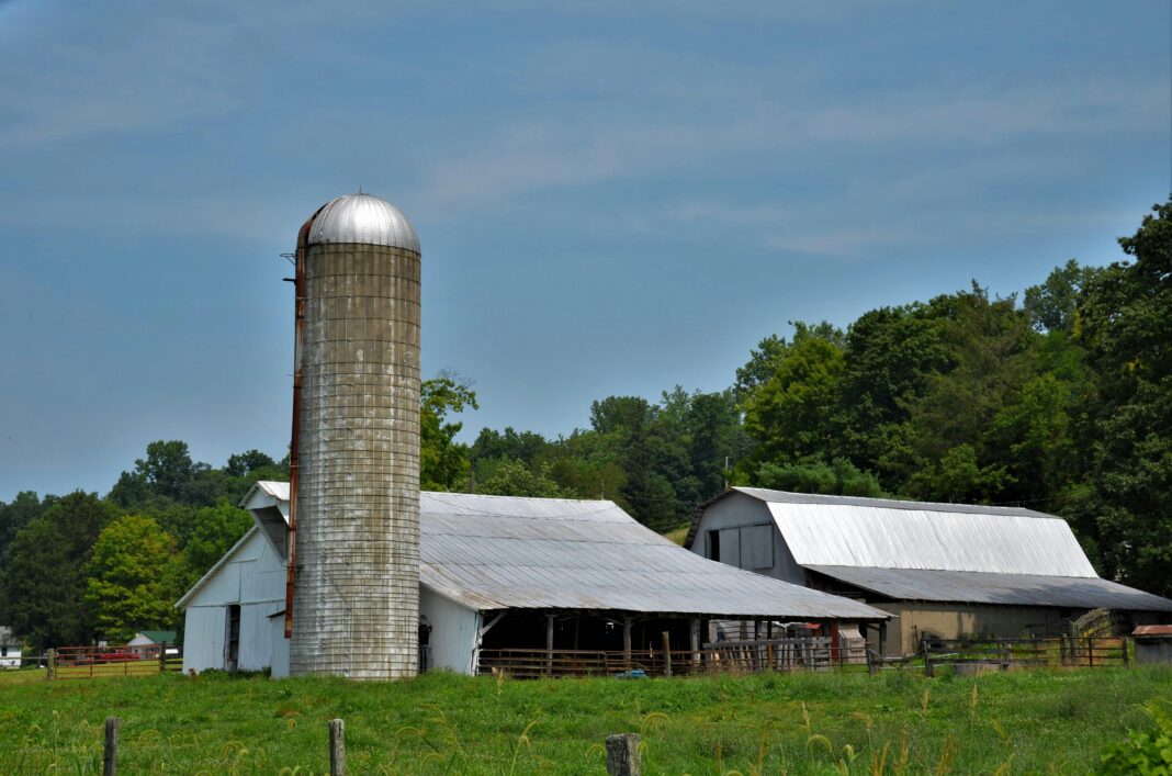 Farm Bill 2024: THCa Regulations Unpacked | Buy THCa